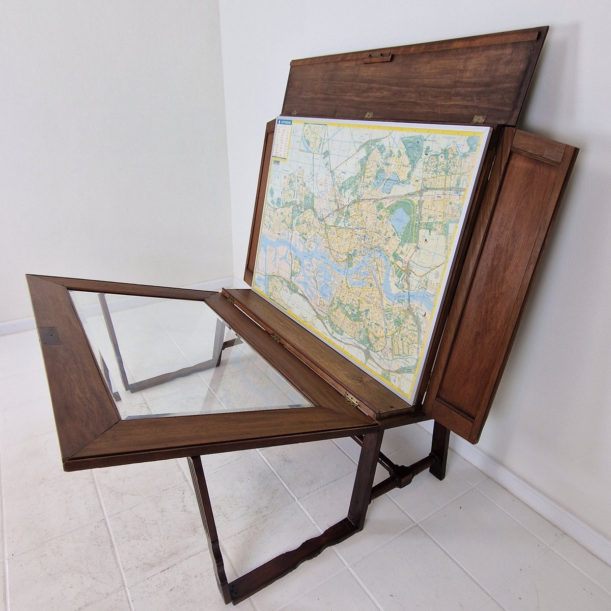 19th Century Mahogany Cartographic Display Cabinet with Drop-Front ...