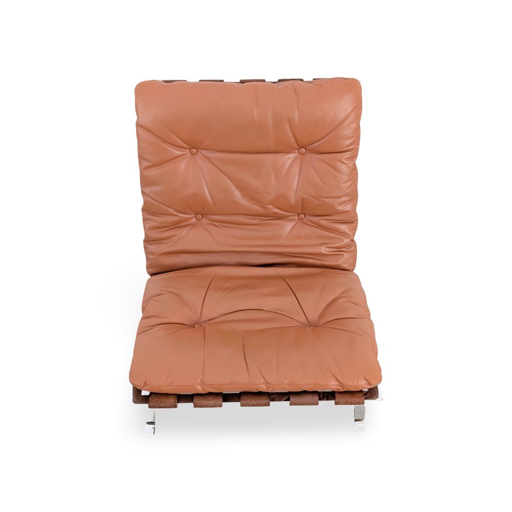 RH 301 Armchair by Robert Haussmann and Mies van der Rohe for de Sede ...