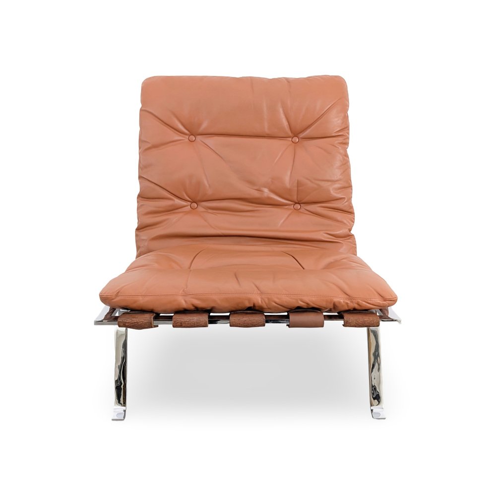 RH 301 Armchair by Robert Haussmann and Mies van der Rohe for de Sede ...