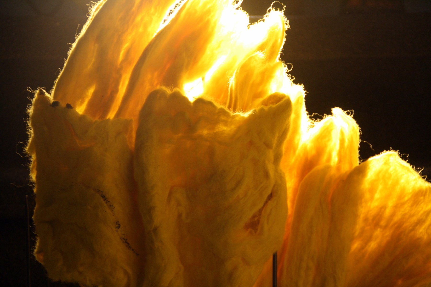Sun Yellow Merino Wool Felted Flame Object by Margaret van Bekkum for ...