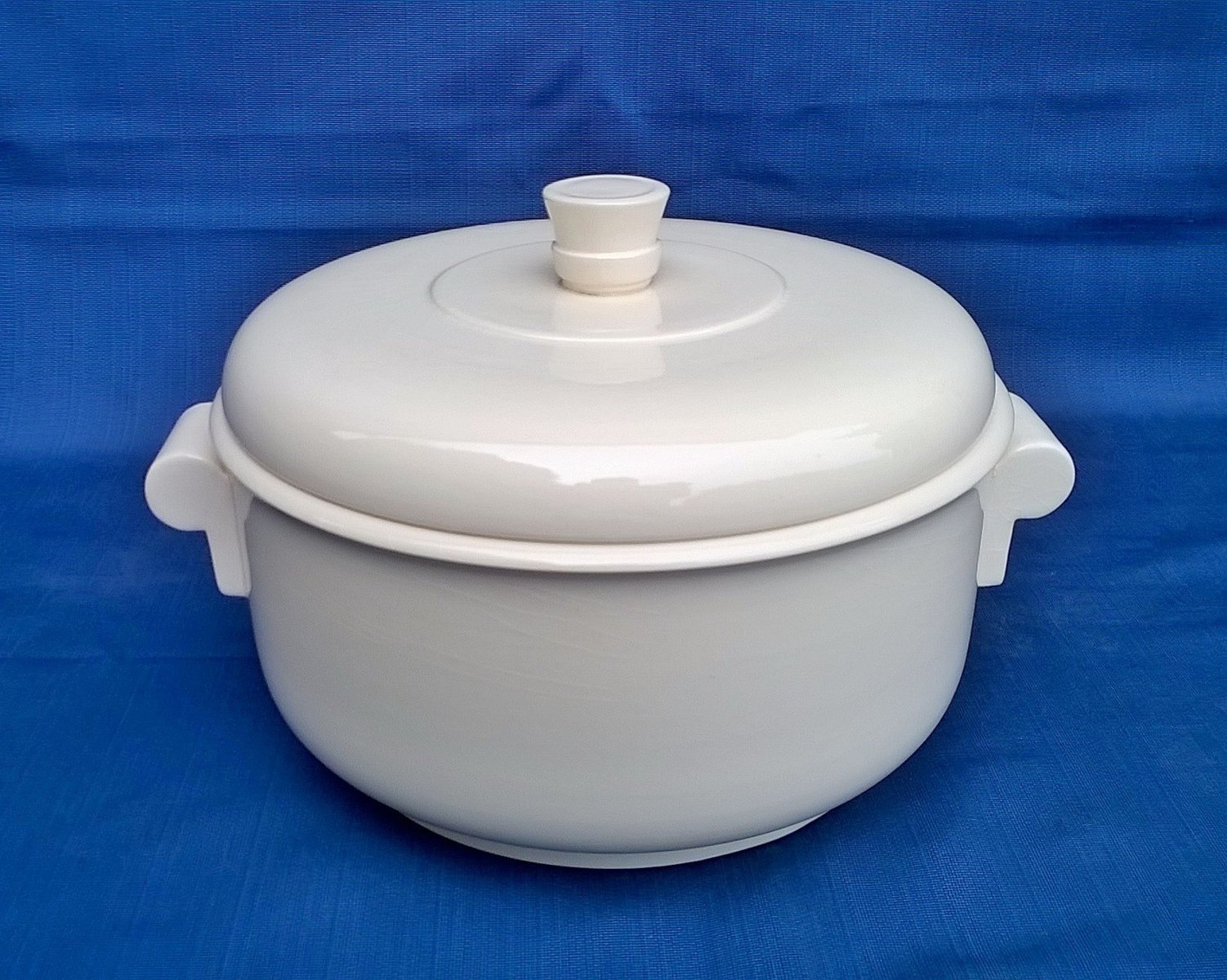 Ceramic Model Tureen Dinnerware Set by Gio Ponti for Richard Ginori ...