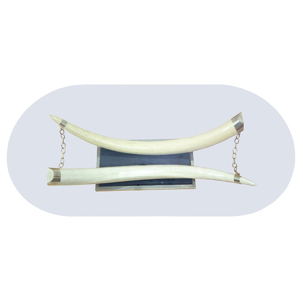 Mid-Century French Faux Ivory Tusk Coffee Table, 1970s for sale at Pamono