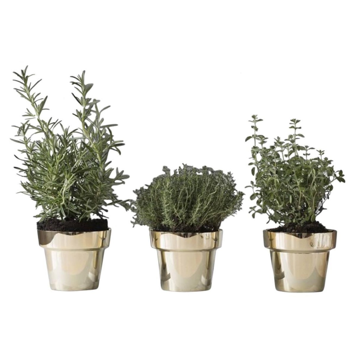 Swedish Herb Pots by Monica Forster for Skultuna, Set of 3 for sale at ...