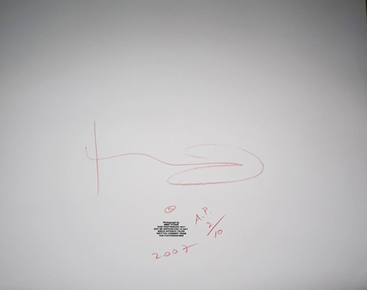 Bert stern Marilyn che ride nel famoso abito Dior 2007 in vendita su Pamono