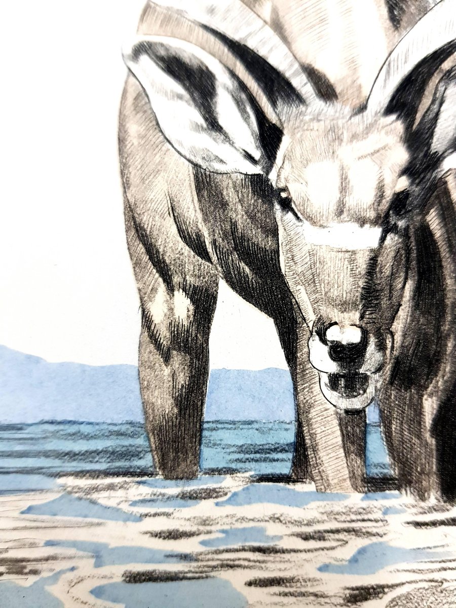 Paul Jouve - Antelope - Original Engraving 1950 for sale at Pamono