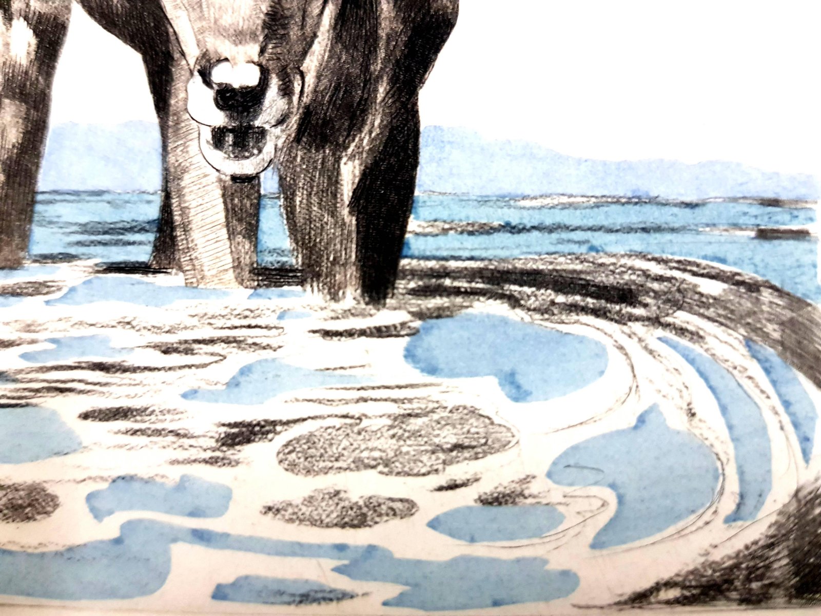 Paul Jouve - Antelope - Original Engraving 1950 bei Pamono kaufen