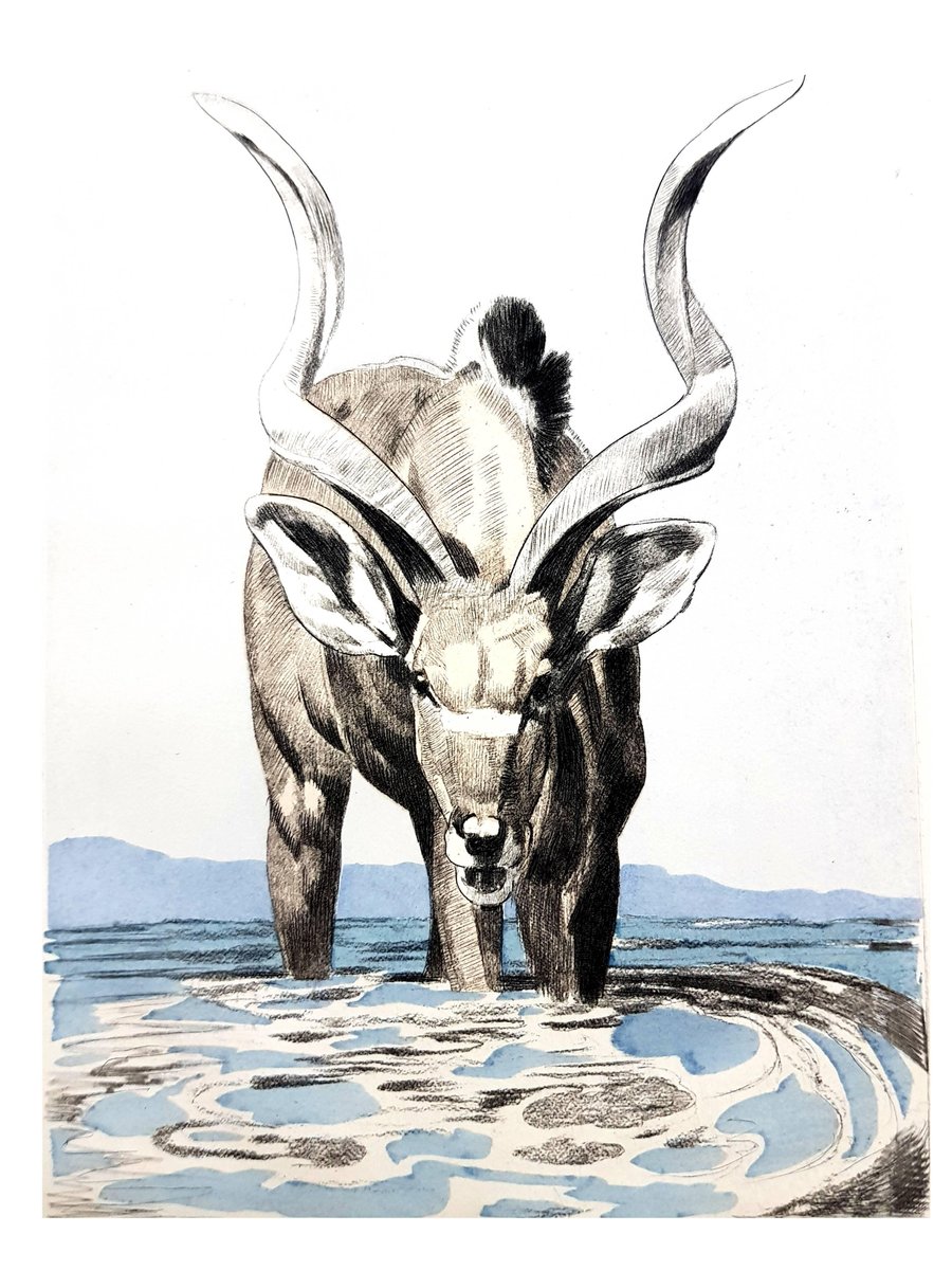 Paul Jouve - Antelope - Original Engraving 1950 for sale at Pamono
