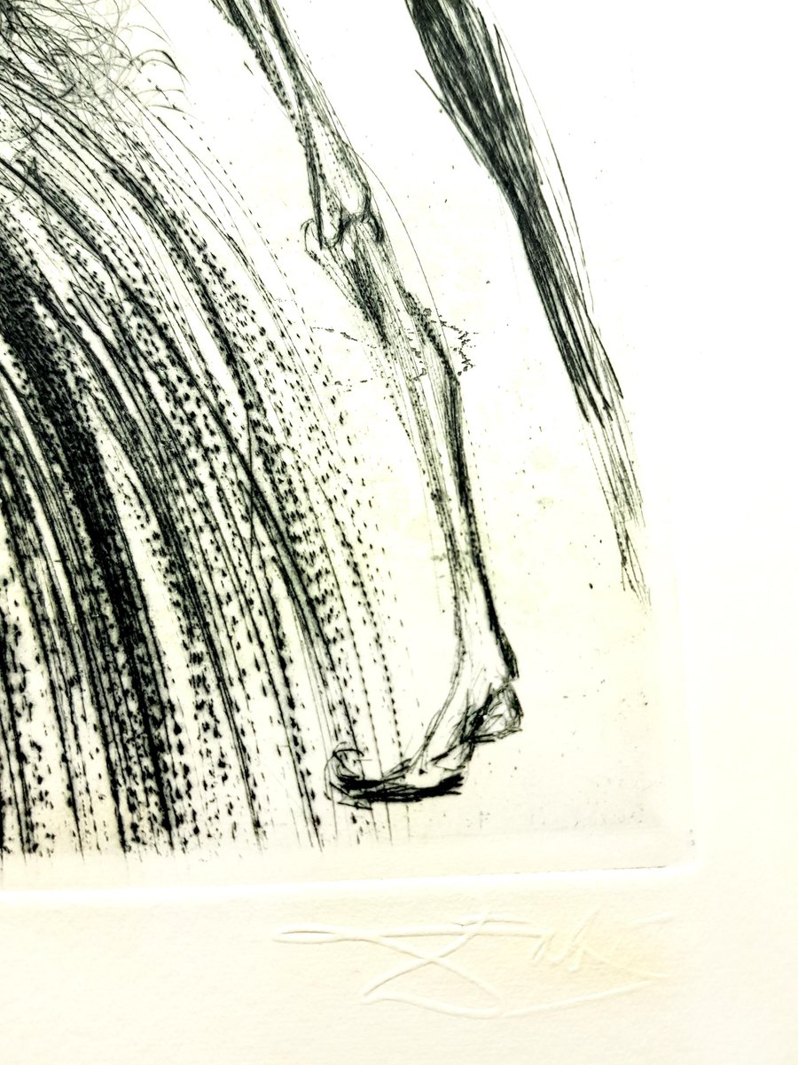 Salvador Dali - Old Faust - Original Etching 1969 for sale at Pamono