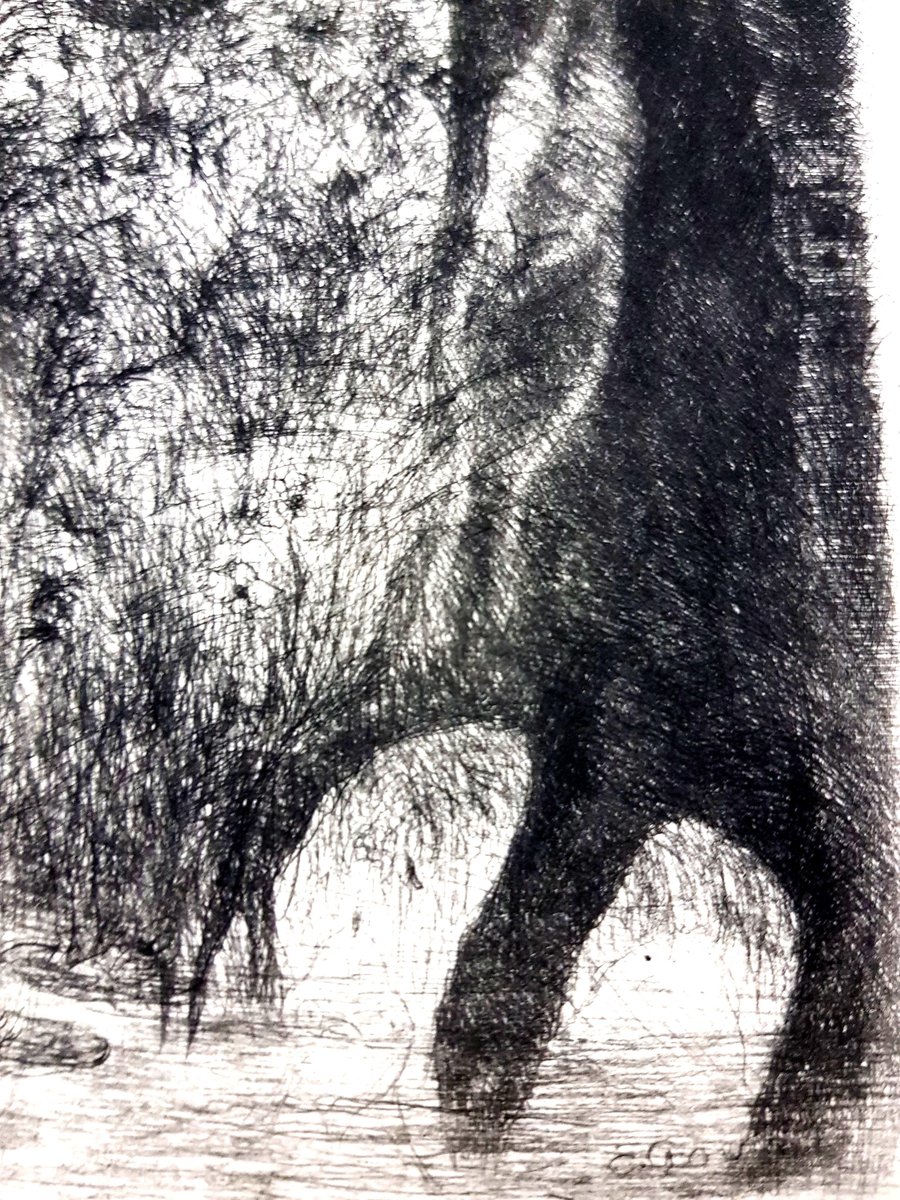 Edouard Goerg - Magic Jungle - Original Etching 1946 for sale at Pamono