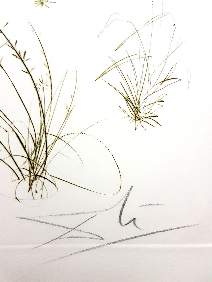 Salvador Dali - Brother Ogrin, The Hermit - Original Etching 1970 for ...