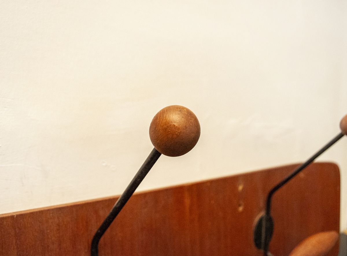 Italian Curved Plywood Coat Rack from Fratelli Reguitti, 1950s for sale ...