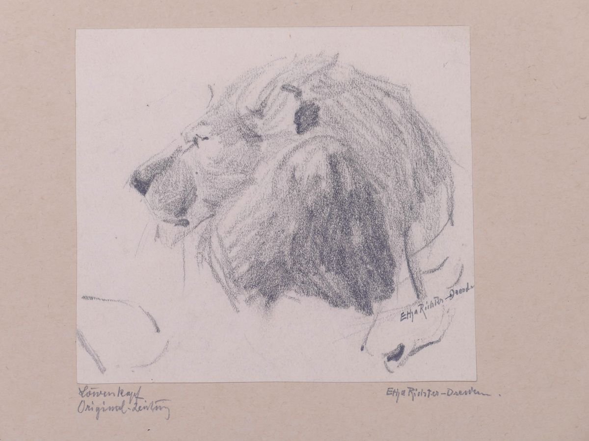 Löwenkopf - Original Bleistiftzeichnung von Etha Richter - 1930er 1930er bei Pamono kaufen