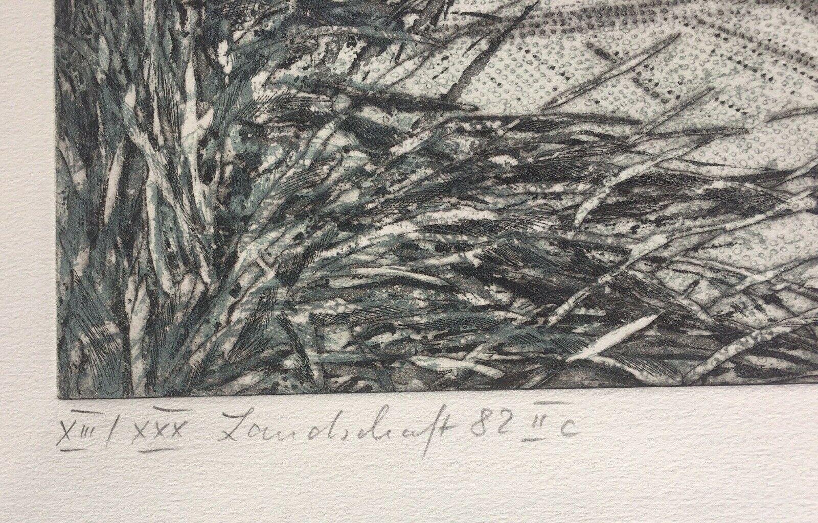 Peter Redeker, Landscape, Etching for sale at Pamono