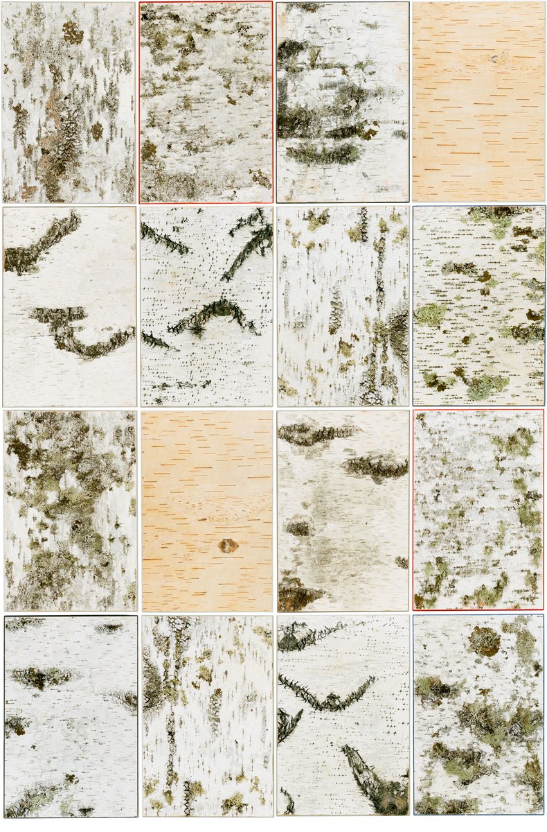 Small Natural Birch Wall Panel with Moss and Lichen from Moya for sale ...