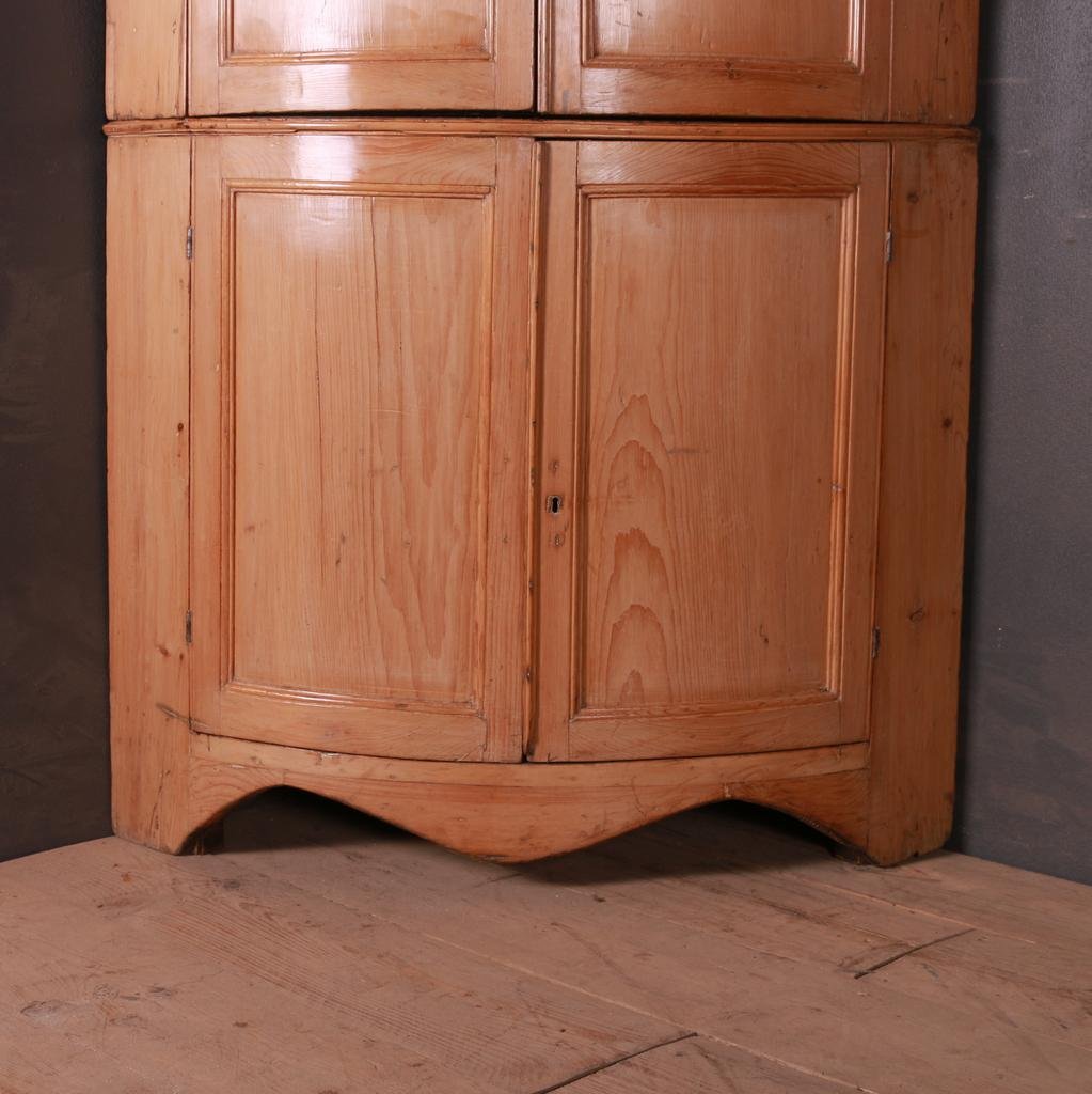 English Regency Bow Fronted Corner Cupboard for sale at Pamono