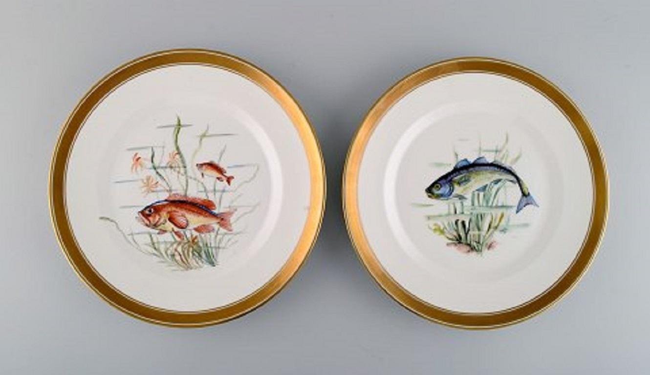 Porcelain Fish Plates with Hand-Painted Fish Motifs from Royal ...