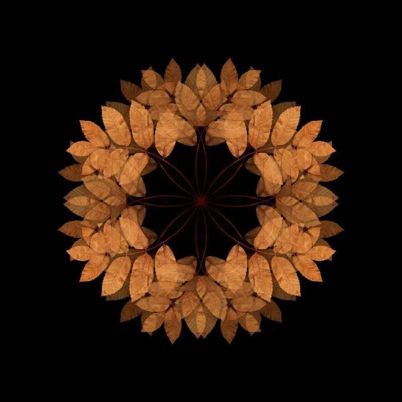 The Fallen 3, Photograph, 2013 for sale at Pamono