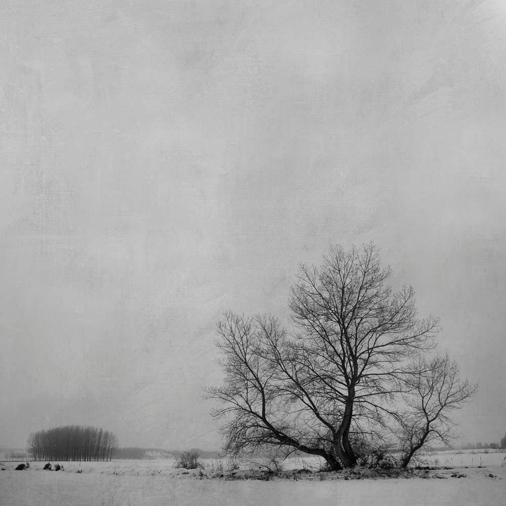 Blanco 7, Winter Imagery, 2010 for sale at Pamono