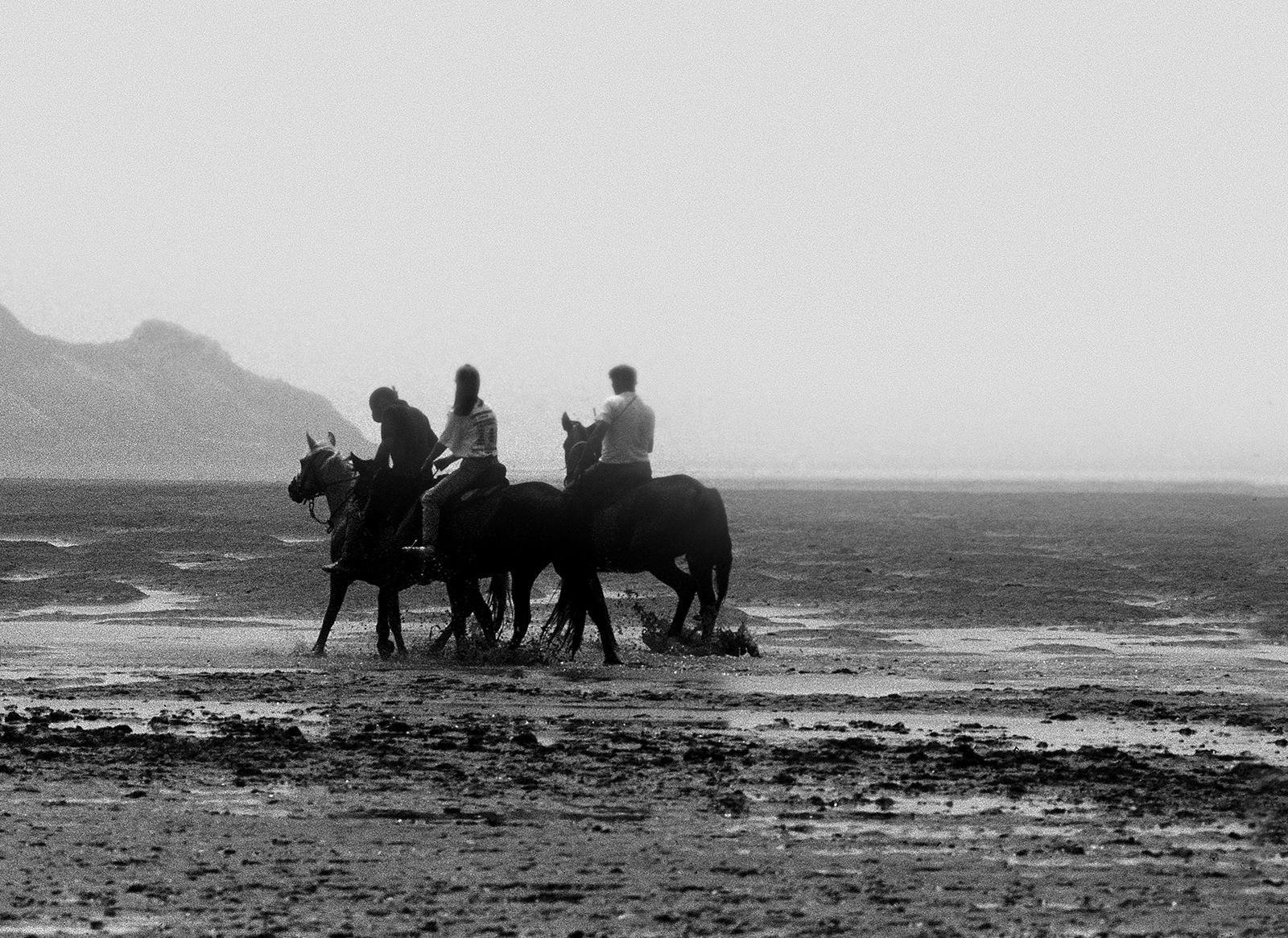 Ian Sanderson, Horses, 1996, Archival Pigment Print for sale at Pamono