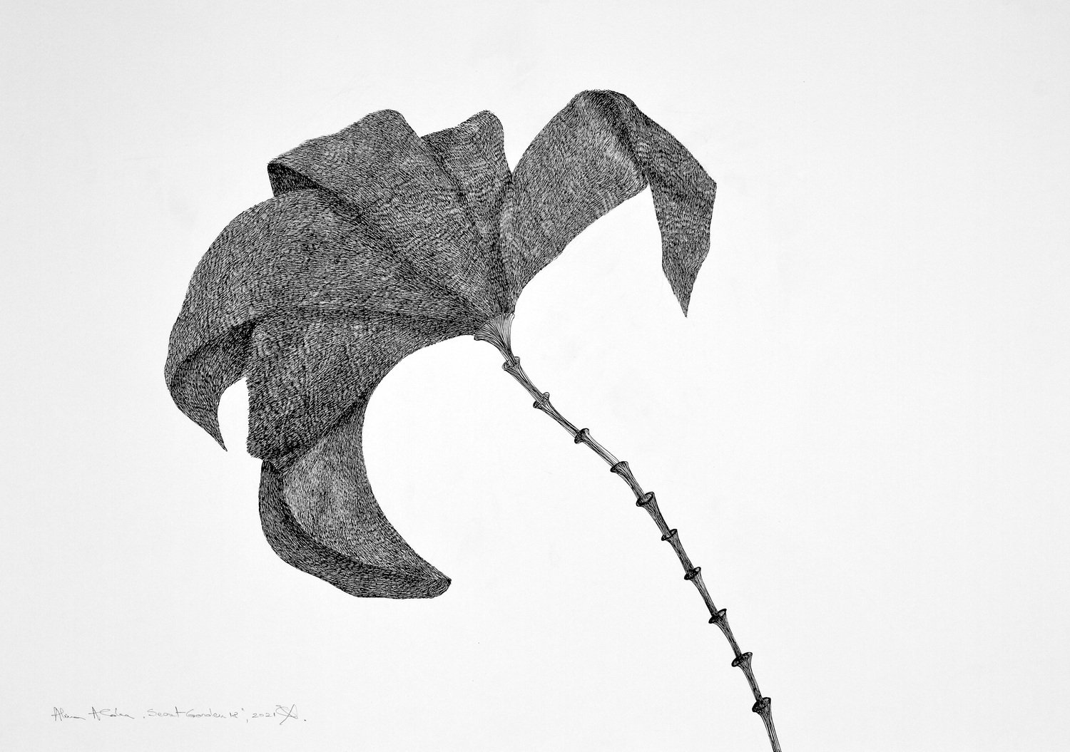 Secret Garden 18 by Alina Aldea for sale at Pamono