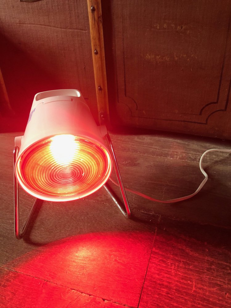 Infraphil Lamp by Charlotte Perriand for Philips for sale at Pamono