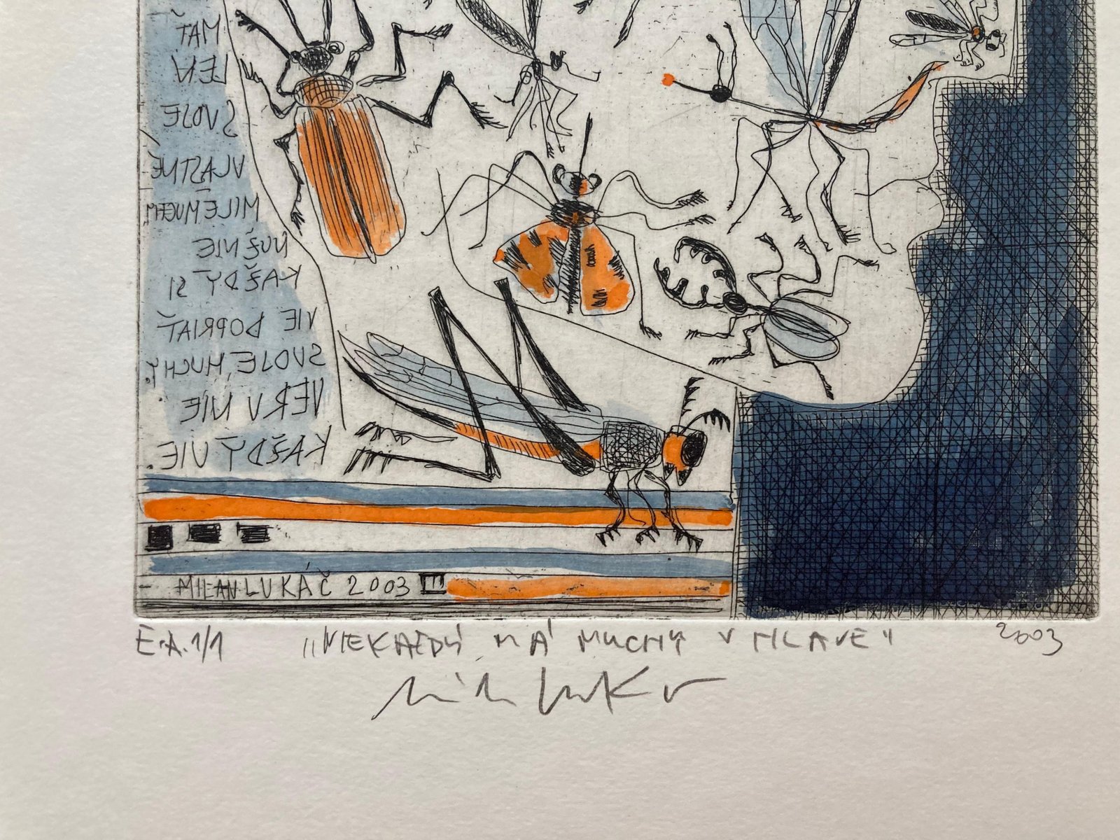 Milan Lukáč, Not Everybody Does Have Flies in His Head, 2003 for sale ...