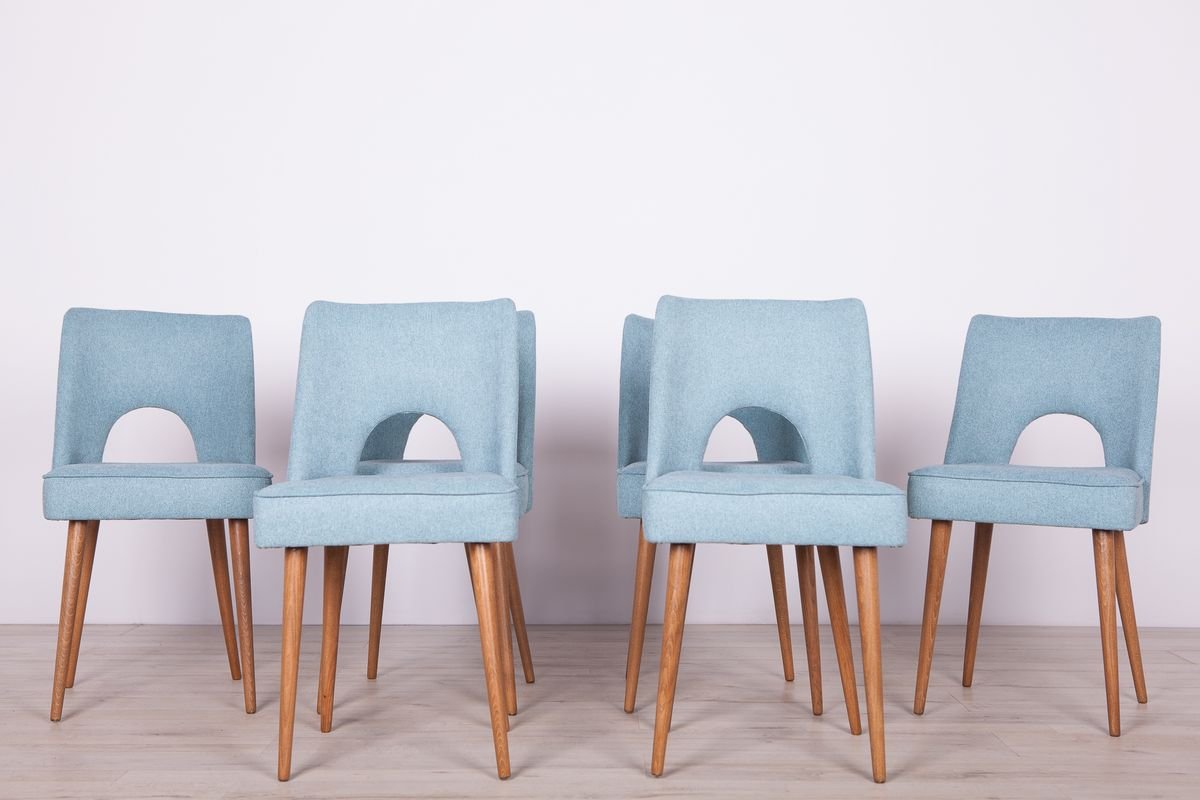 Polish Shell Chairs from Bydgoszcz Furniture Factory, 1960s, Set of 6 ...