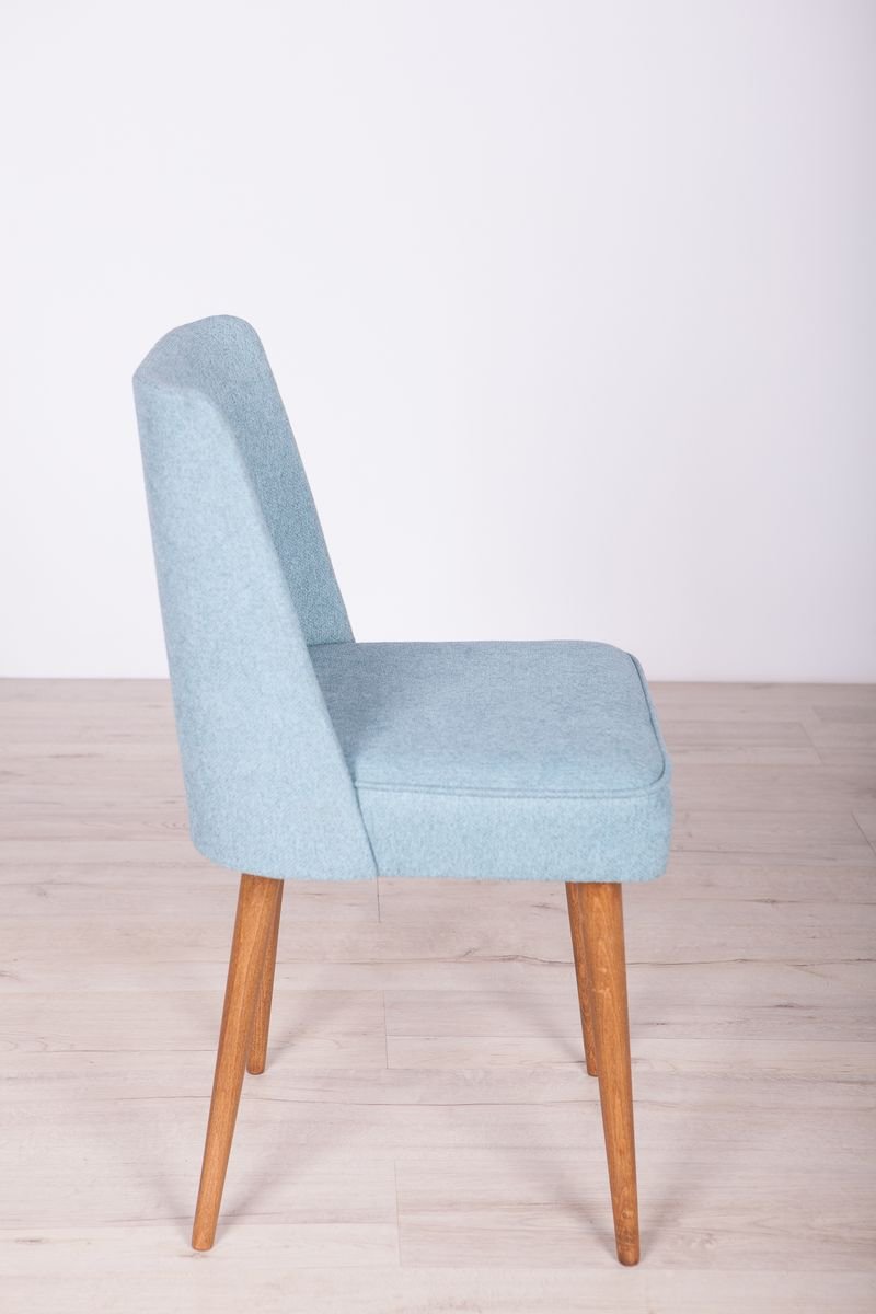 Polish Shell Chairs from Bydgoszcz Furniture Factory, 1960s, Set of 6 ...